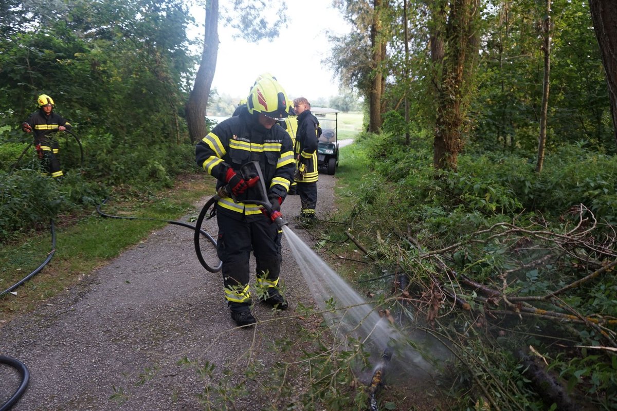 Brand durch Kontakt mit Hochspannungsleitung - Bezirk Urfahr-Umgebung